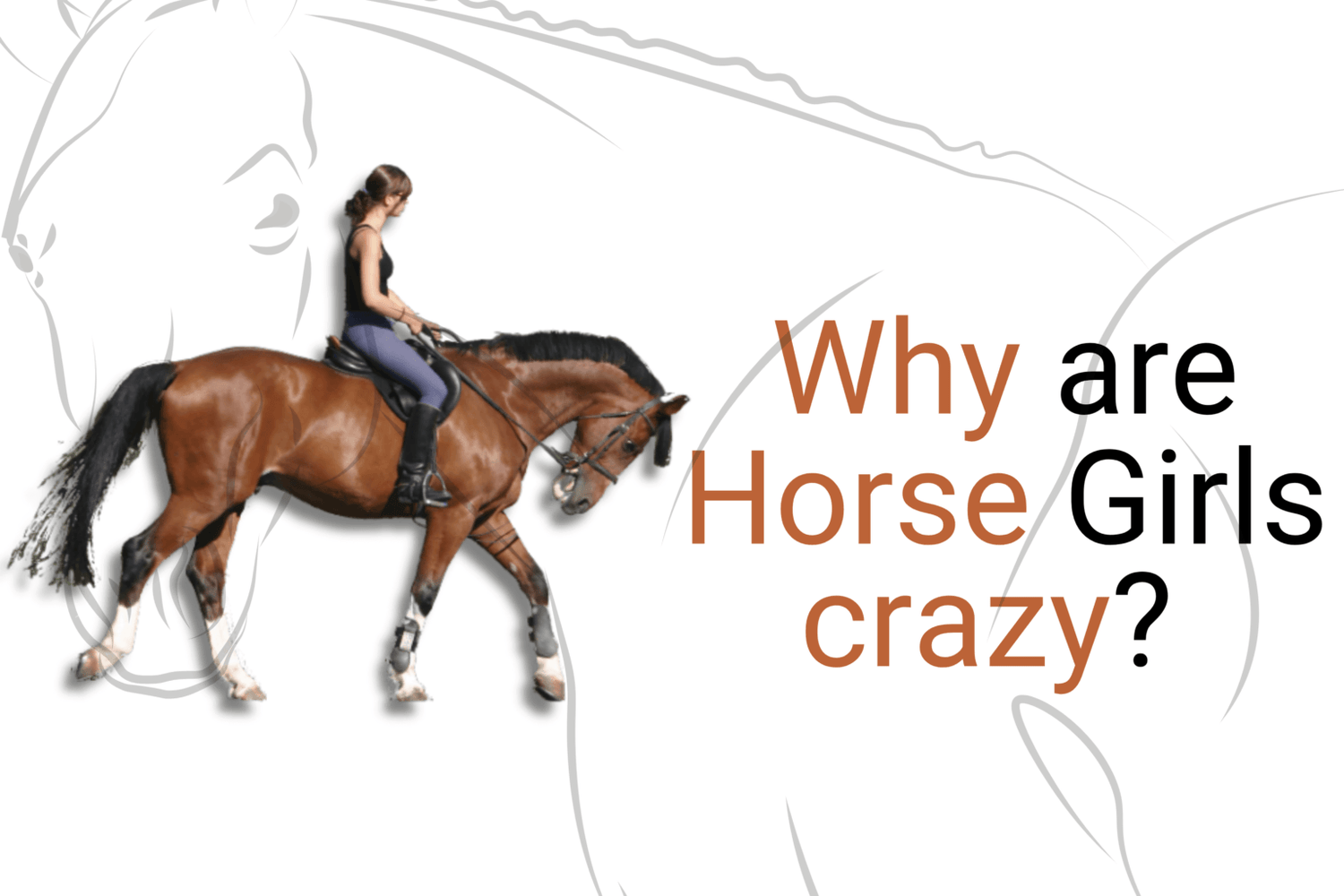 Breaking Stereotypes: Why are horse girls crazy? – Dream Horse